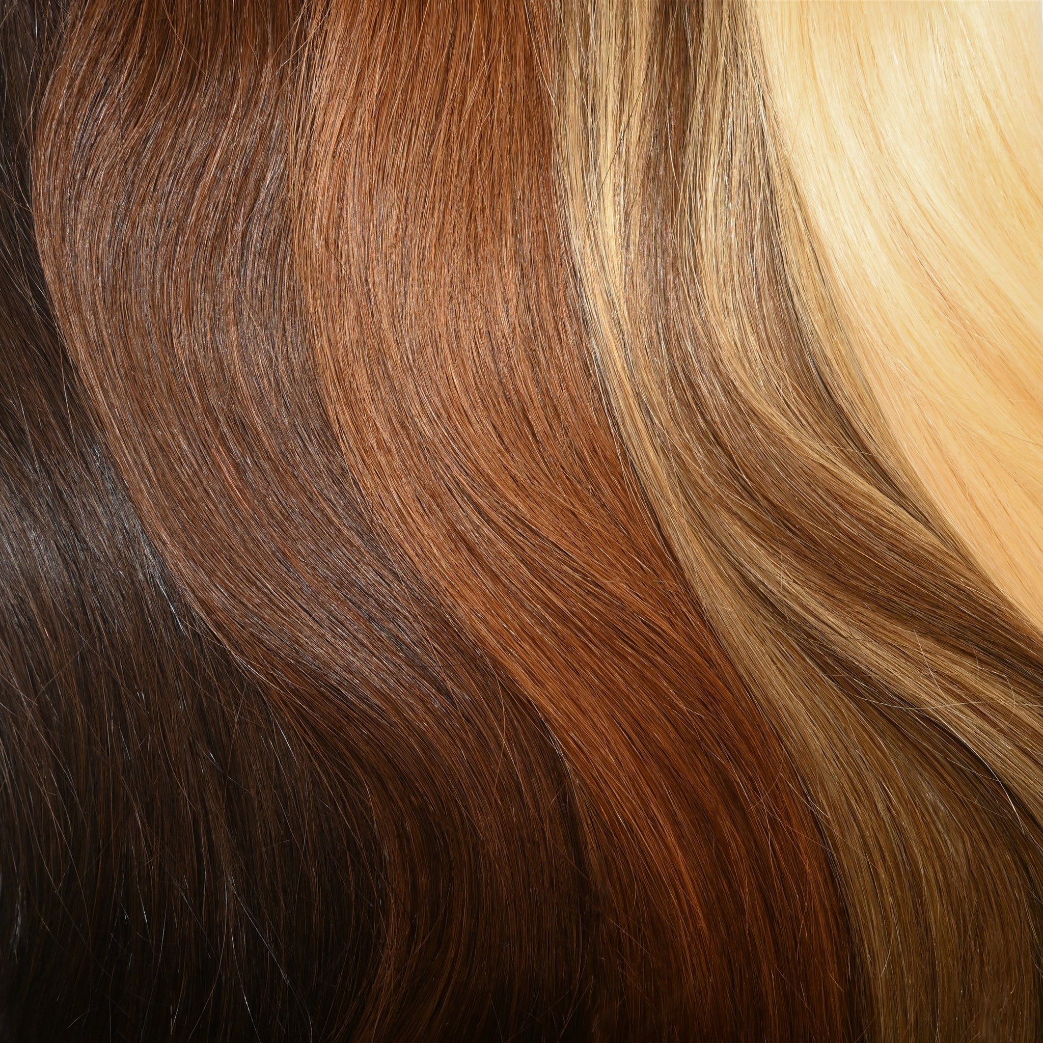 Hair – Faria Beauty Supply